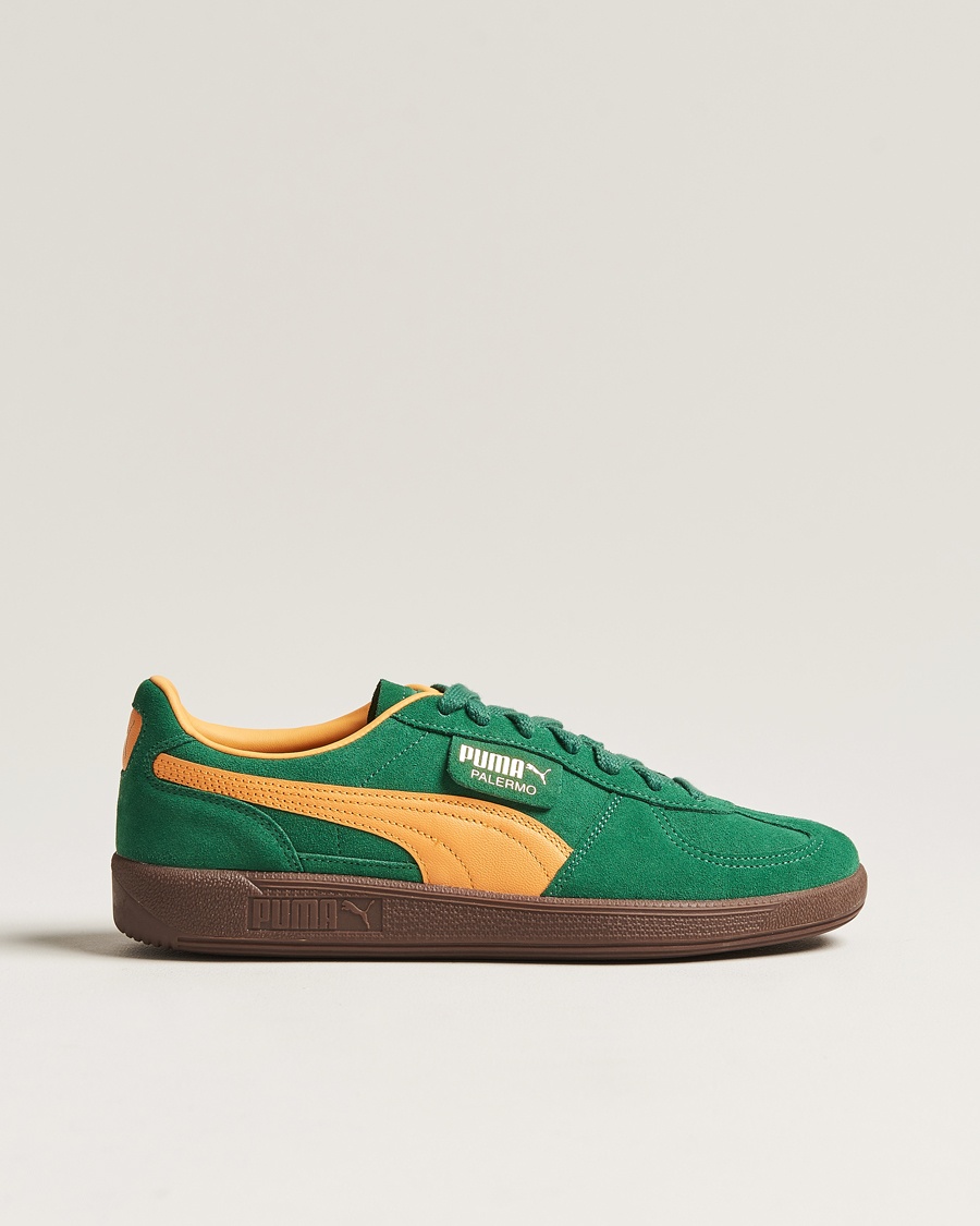 Puma bei Care of Carl